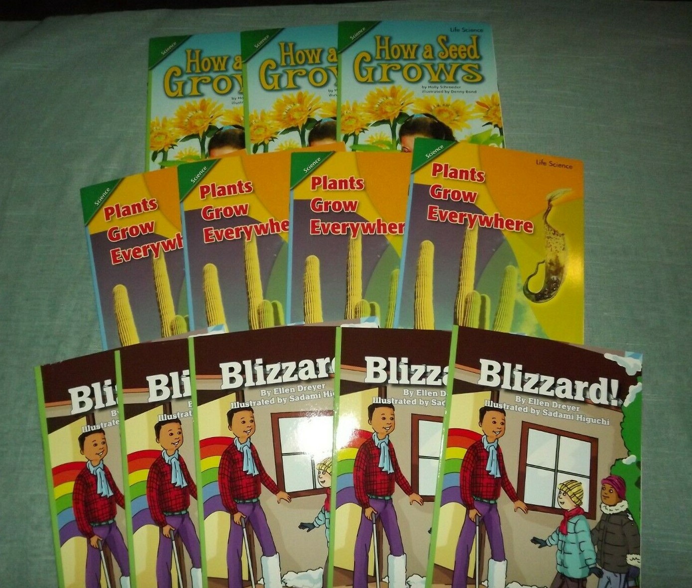 PEARSON SCOTT FORESMAN Booklets 5 Blizzard, 4 Plants & 3 How a Seed ...