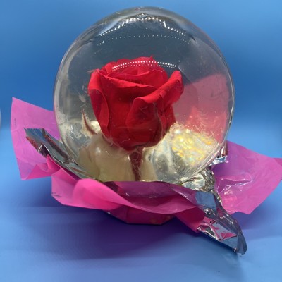 Forever Red ROSE In Glass Ball Water Dome Globe Large Real Rose 6x6 in ...