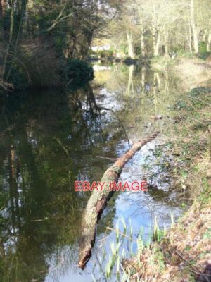 PHOTO LOG IN THE BASINGSTOKE CANAL TREE TRUNK BY THE SOUTHERN BANK OF ...