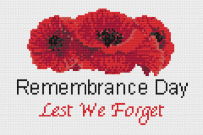 Cross Stitch Kit or Pattern - Florashell - Remembrance Day | eBay