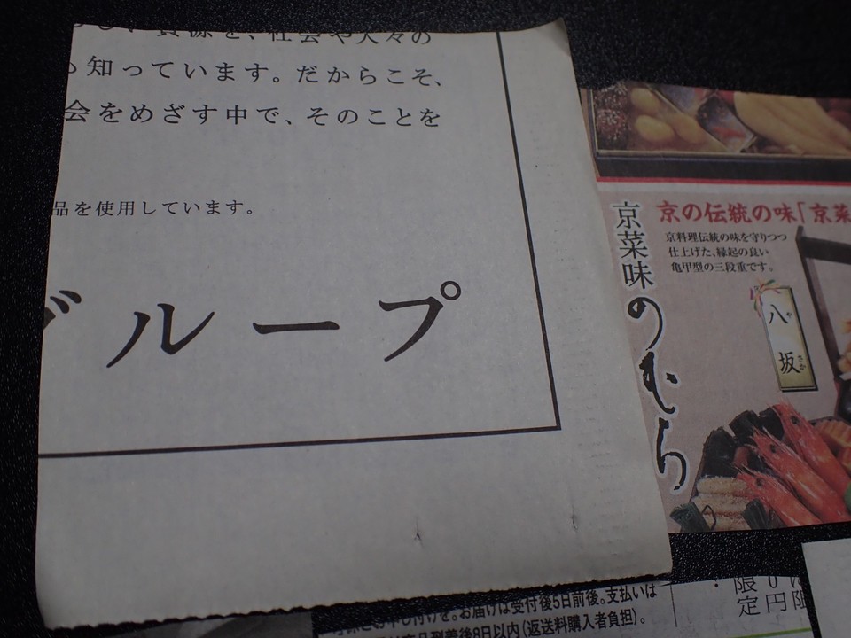 Pokemon Newspaper Clipping Mega Evolutions x10 Salamence Steelix etc ...