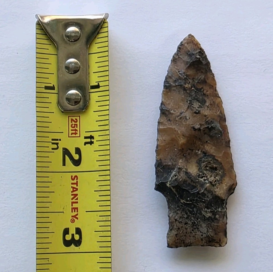 Florida Arrowhead Spear Projectile 3" Archaic Stemmed Semi Translucent ...