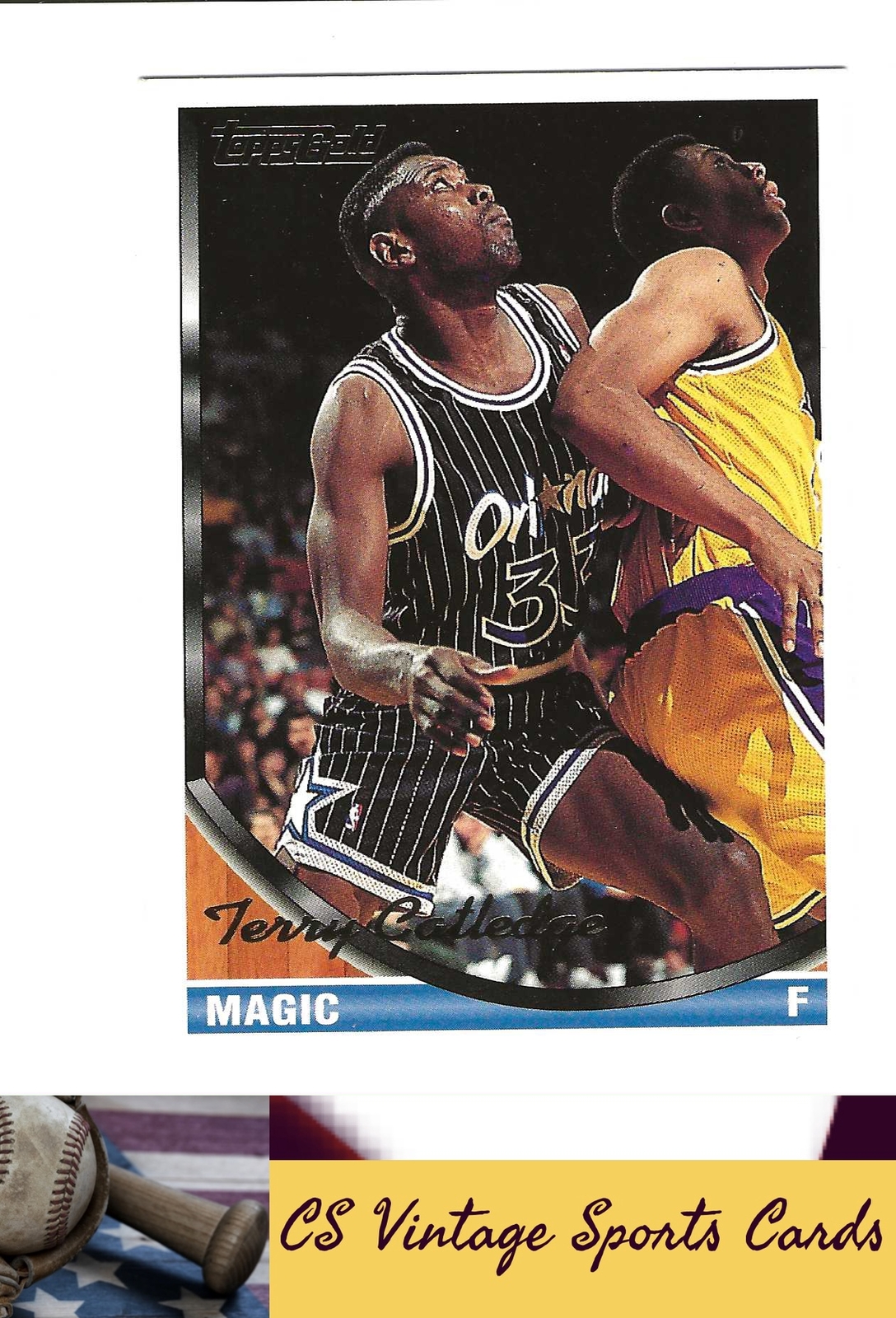 1993-94 Topps #18 Terry Catledge Gold | eBay