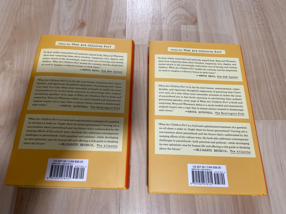 What Are Children For? : On Ambivalence and Choice by Rachel Wiseman ...