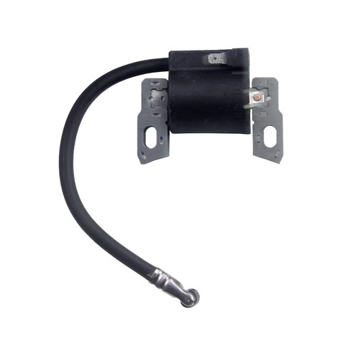 Ignition Coil, Compatible, 595554, 796499, 111P02, 111P05, 11P902 ...