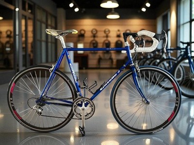 Gazelle Race Steel Road Bike | Reynolds 525 58cm | Full Campagnolo 2×8 ...
