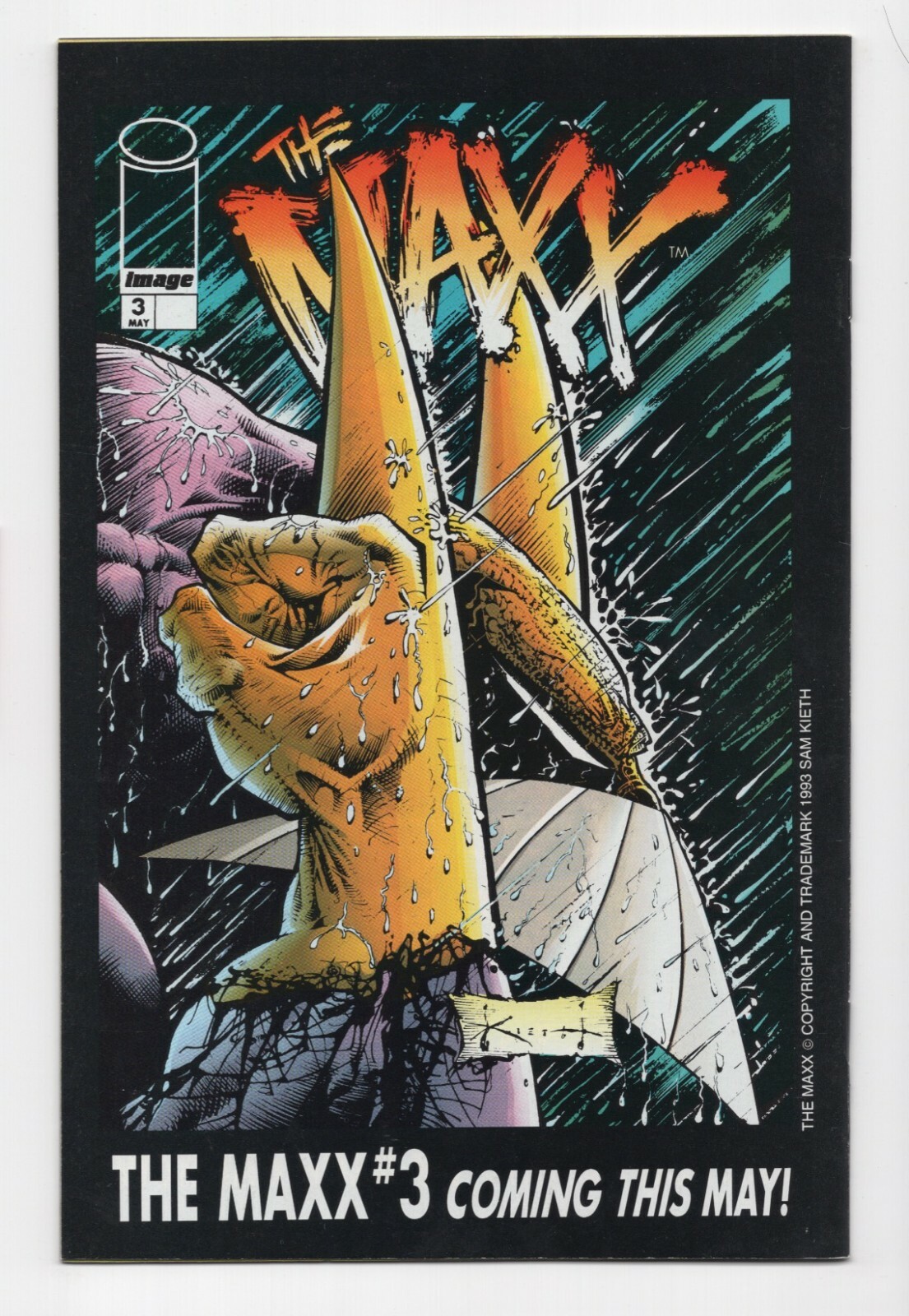THE MAXX no. 2 Sam Keith art 1993 Image Comics 9.4 NM High Grade 2436 ...