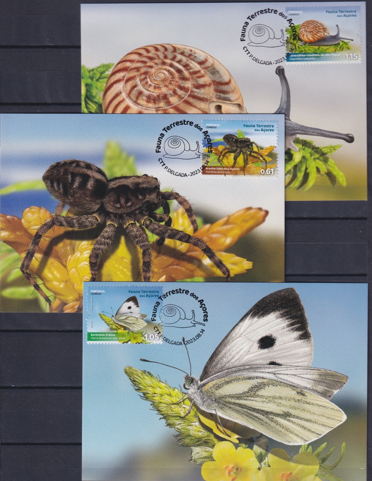 Portugal 2023 Fauna of Azores, Insects, Spiders, Butterflies Maxi Cards ...
