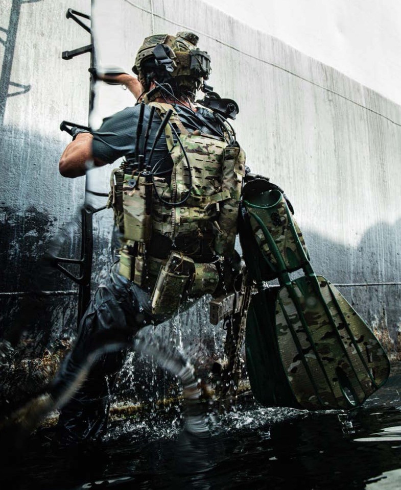 New Eagle Industries Multicam MMAC-R 2019 MEDIUM NSW Plate Carrier ...