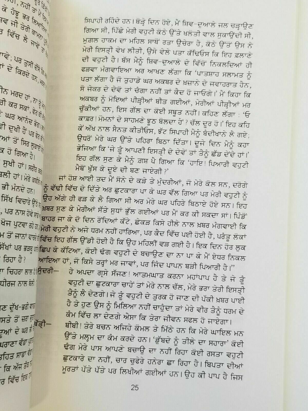 Sundri novel by bhai vir singh indian punjabi panjabi reading ...