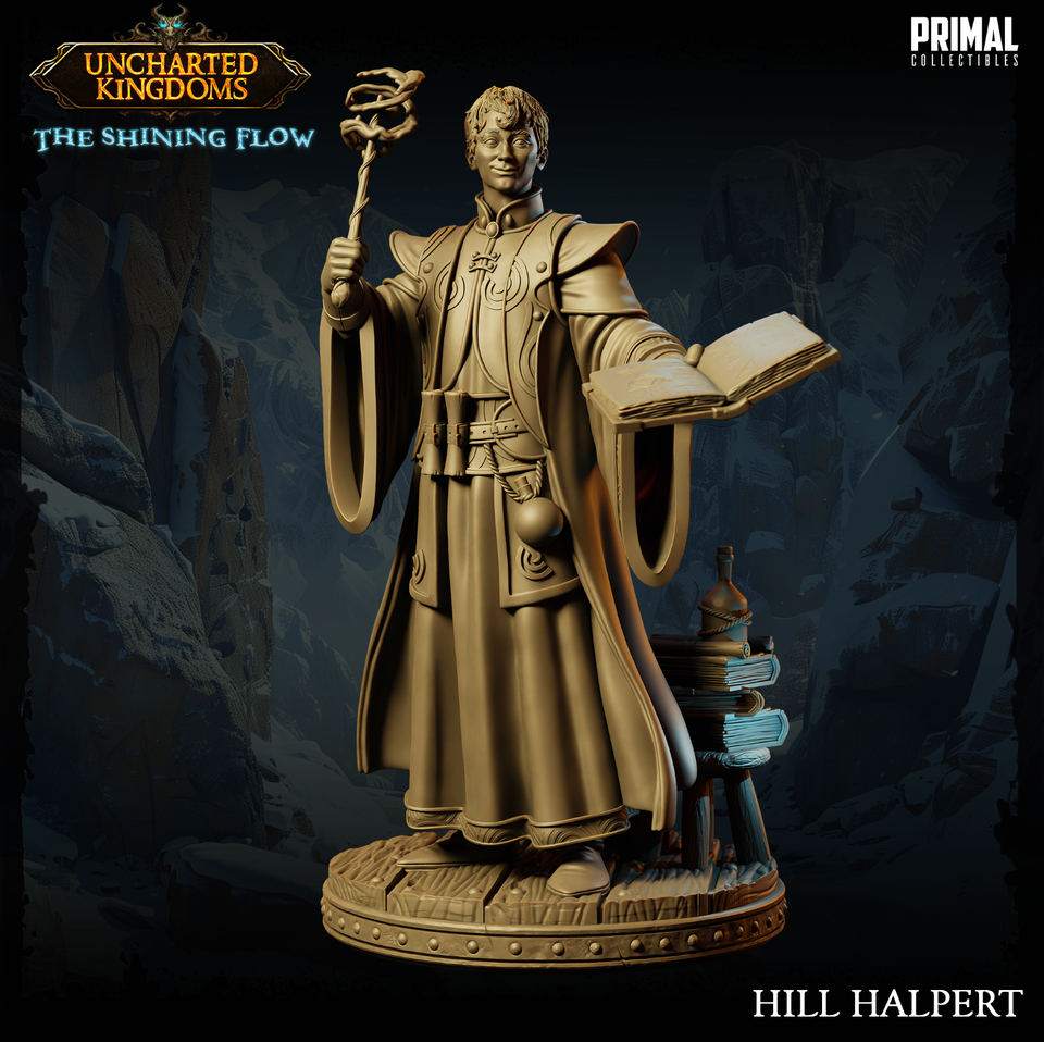 Hill Halpert (Wizard)-3D Printed Resin RPG/Tabletop Gaming Miniature ...