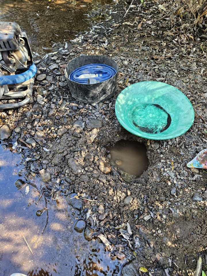 12 oz GOLD PAYDIRT unsearched + Added gold panning concentrates ...