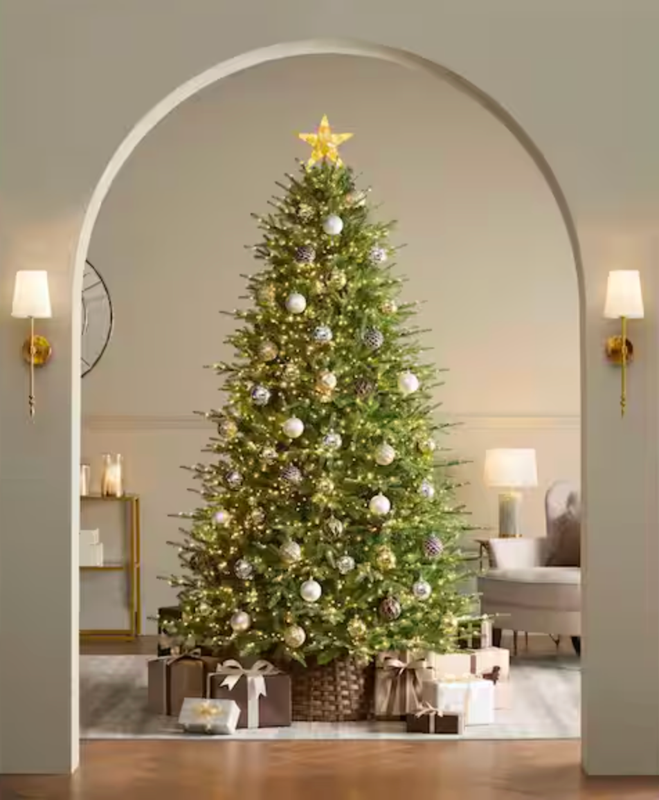 🟢 7.5 ft Grand Duchess Balsam Fir FULL Christmas Tree T27 | eBay
