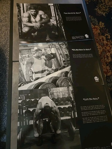 Three Iconic Bodybuilding Posters from Universal/Animal | eBay