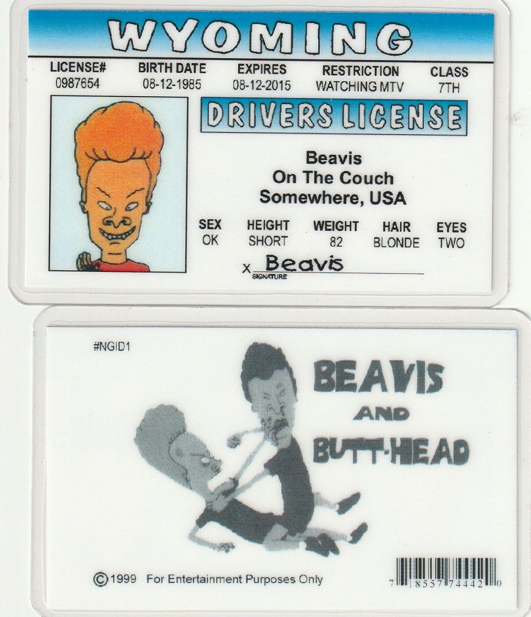 BEAVIS of Beavis & Butthead Show novelty plastic collectors card ...