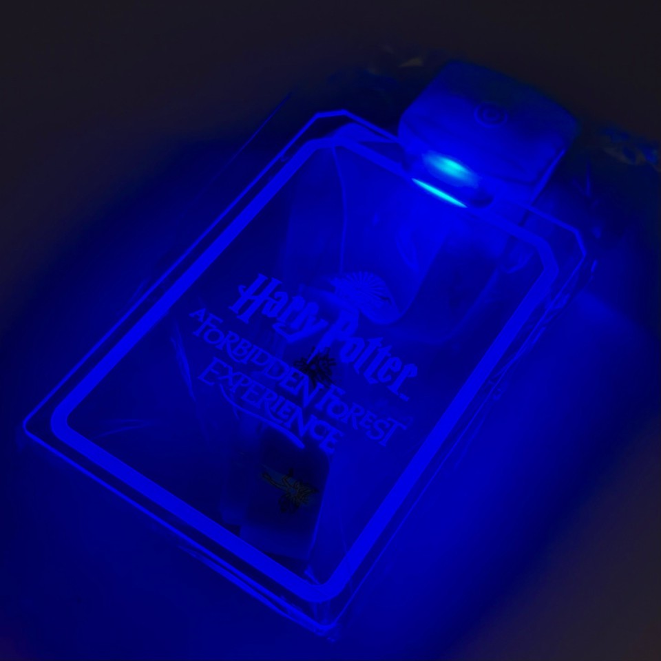 Harry Potter Wizarding World A Forbidden Forest Experience Light Up ...