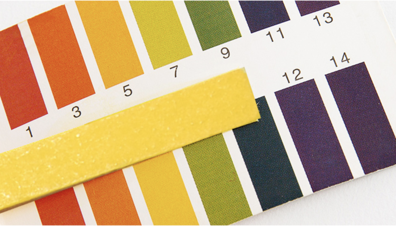 [Ganbaro]JAPAN NURSERY W Yuzu Ginger Makeup & Uv Cleansing Gel 180ml | eBay