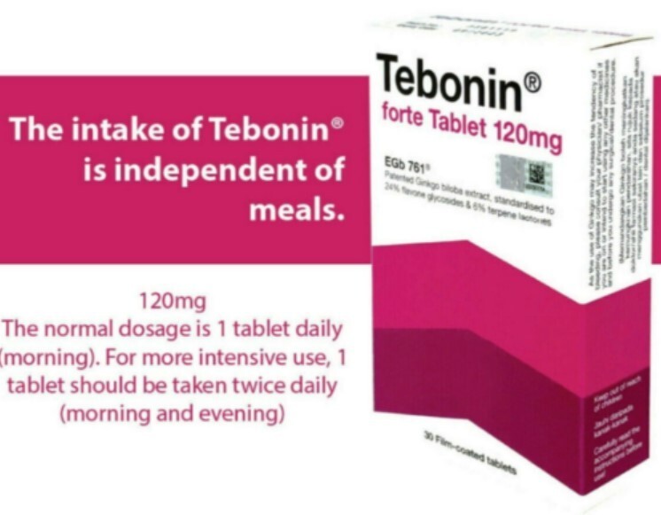 3 Box Tebonin Forte 120mg Ginkgo Biloba Extract 30's - IMPROVE BLOOD ...