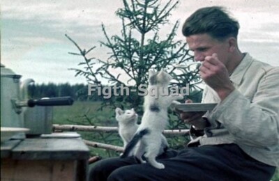 WW2 Picture Photo German Pilot Luftwaffe Officer With a Cat 8364 | eBay