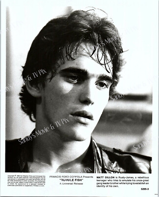 MATT DILLON Terrific ORIGINAL Movie Photo RUMBLE FISH | eBay