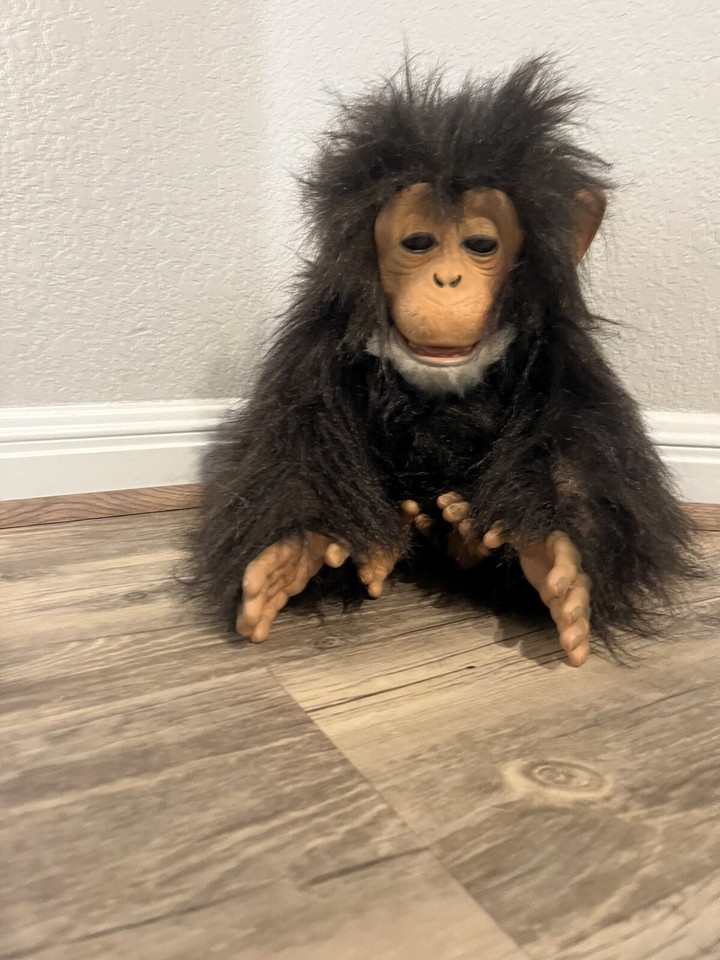 Hasbro 2008 FurReal Friends Cuddle Chimp Monkey Interactive with Banana ...