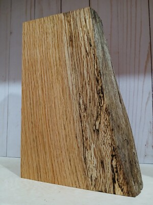 XL Wicked Spalted Laced SPAGHETTI RED OAK Wood Blank, EPOXY wood, Craft ...