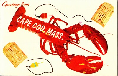 Greetings from Cape Cod MA Lobster, Traps c1980 Postcard T33 | eBay