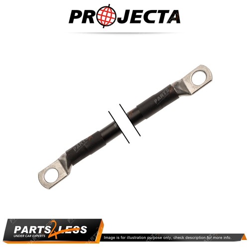 Projecta Switch Starter 380mm Length Cable 3 B & S 25mm X 25mm BCS3-38 ...