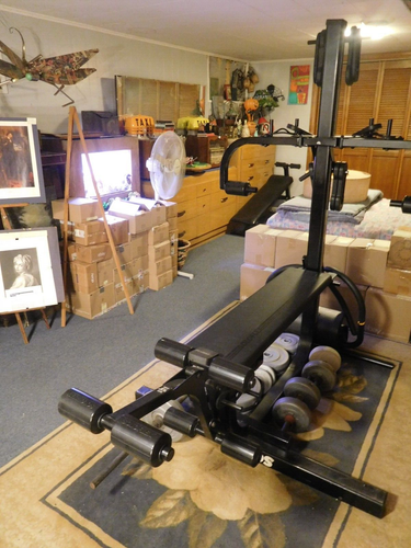 Classic Soloflex in Nice Condition Leg/Pull-Up 13 Bands & Additional ...