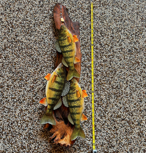 Perch Stringer Mount Layered Flat 2D Metal of 14 & 15 Inch Perch ...