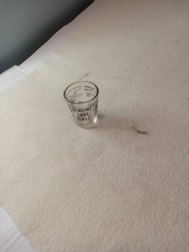 Genuine Shot Glass - Big Shot Full Shot Half Shot, clear glass, 2.5x2x1 ...