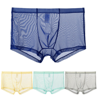Sexy Mens Sheer See Through Boxer Briefs Underwear Mesh Shorts Trunks ...