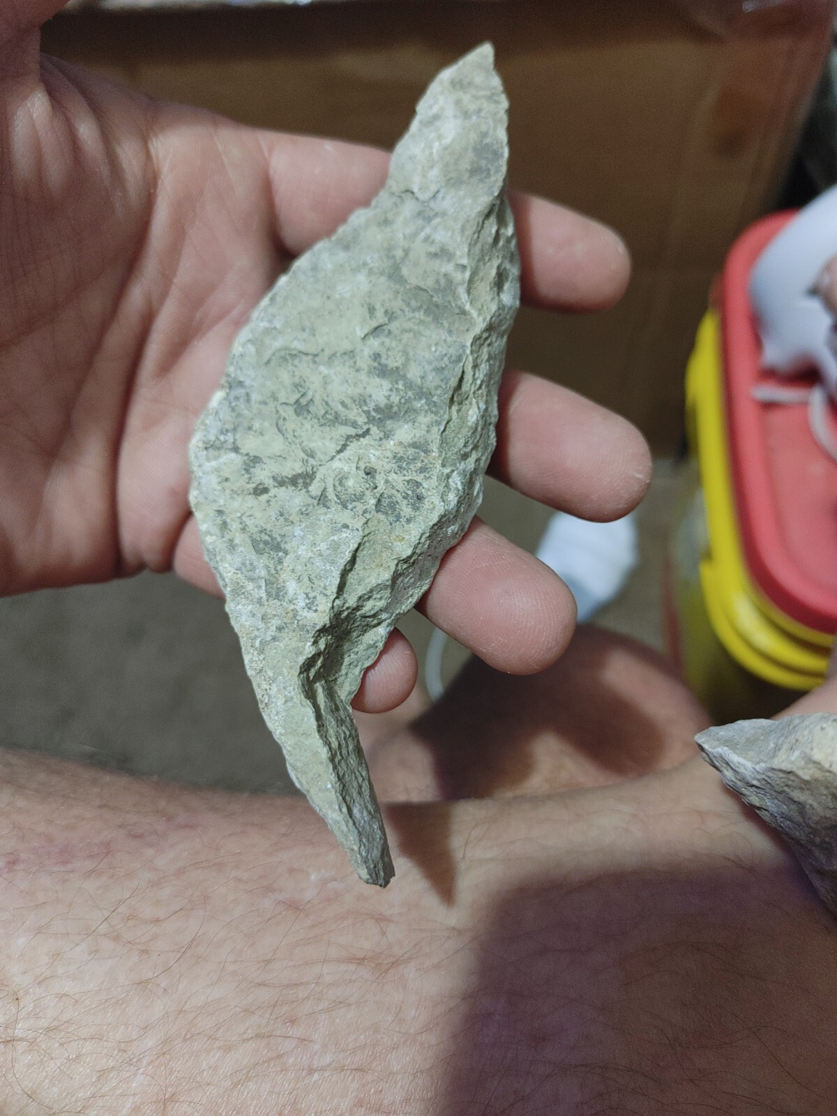 Bird Stone Indian Cutting Tool, artifacts, arrowhead, paleo-american rock art | eBay