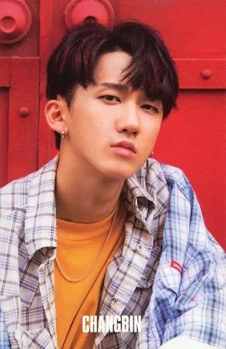 Sammelkarte/I Am Who Enclosed Bonus Qr Photo Stray Kids/Changbin/Bottom ...