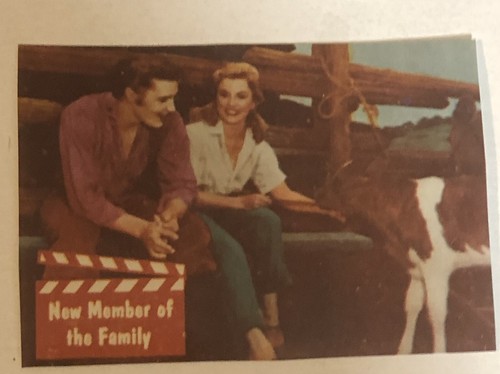 Elvis Presley Vintage Photo Picture Of Trading Card Kodak EP1 | eBay