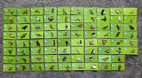 78 RSPB Full Set Of NIIC Bird Charity Pin Badges | eBay UK