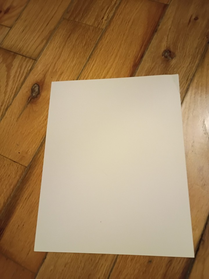 1979 Larry Bird Type 1 Original Photo! | eBay UK