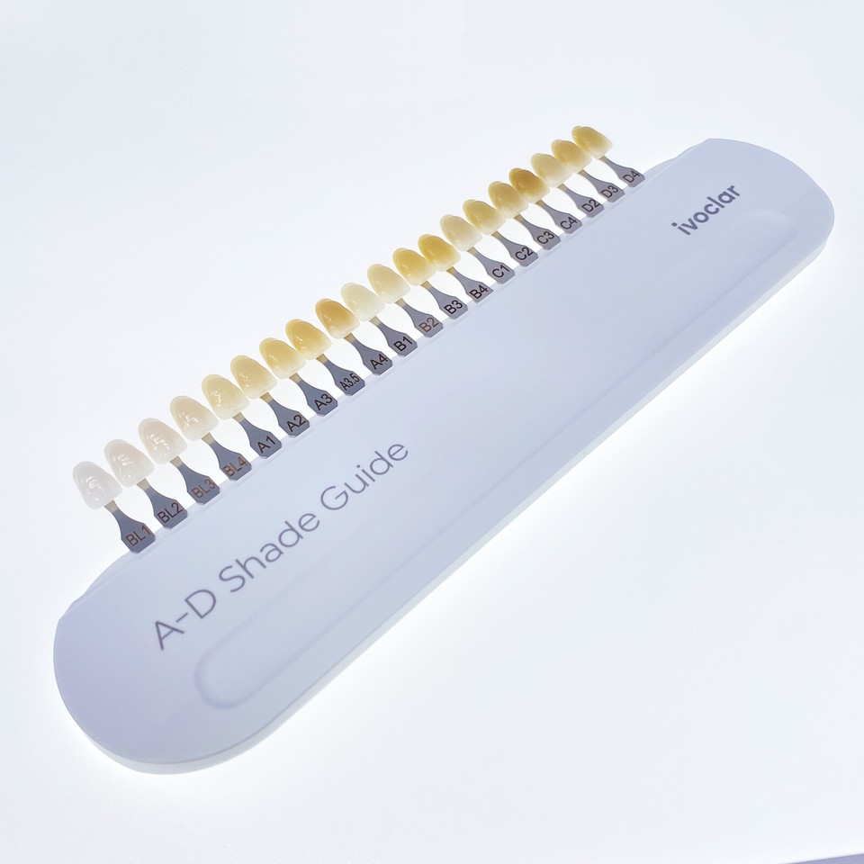 Ivoclar Vivadent Dental Shade Guide A-D 20 IPS Natural Die ND1-9 Bleach ...