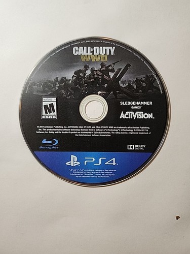 Call of Duty WW2 II PS4 Sony Playstation 4 World War 2 Disc Only | eBay