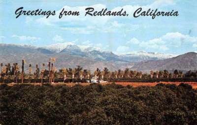 Redlands California Orange Groves Greetings Vintage Postcard J77400 | eBay