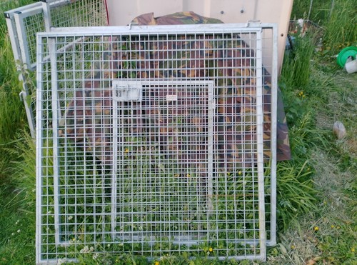 CROFT Dog Run Panels Galvanised Steel Kennel Enclosure Pen Fence ...