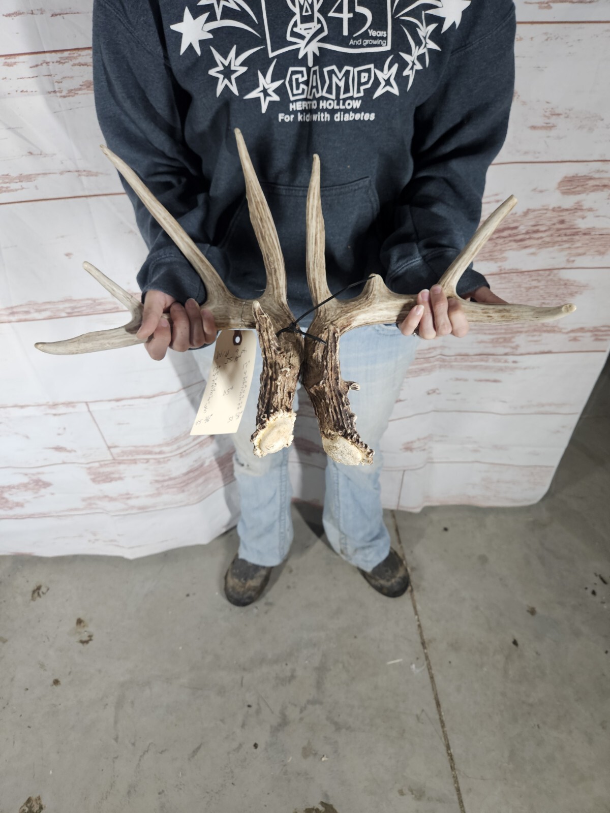 Wild 9 Point Whitetail Deer Antler Rack Horn Shed Set Man Cave Decor ...