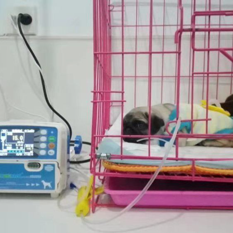 Veterinary Equipment Pump Three Modes Veterinary Infusion Pump Pet Pump ...