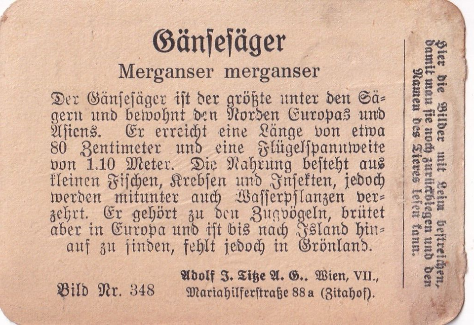 Circa 1900 Chromolithograph Card -Beautiful Bird -Artist Adolf Titze ...