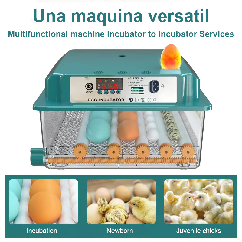 36 Eggs Incubator Chicken Incubators Auto Turning for Hatching Quail Dual Power | eBay