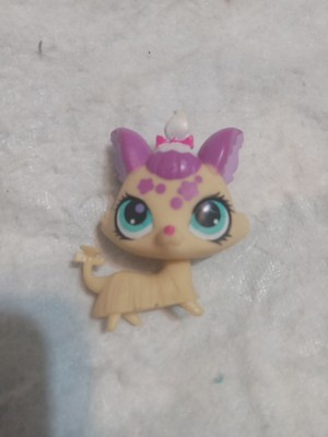 Littlest Pet Shop LPS Yorkie #3001 Cream & Purple With Aqua Eyes | eBay