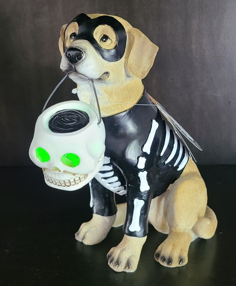 The Humane Society Trick Or Treating LABRADOR Dog Light Up Skull ...