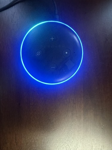 Amazon Echo Dot 3rd Gen Smart Speaker Alexa C78MP8 Black Tested | eBay