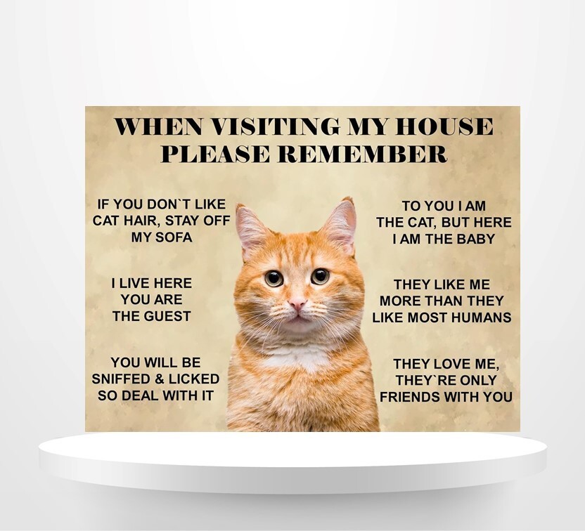 Funny Ginger Cat House Rules metal wall sign cat lovers gift kitchen ...