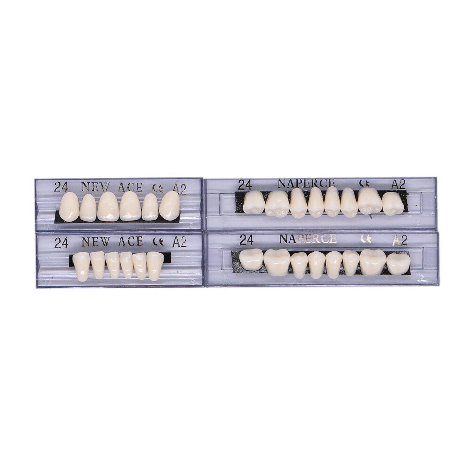 168pc Dental Acrylic Resin Tooth Shade 24# A2 Denture Full Set Teeth ...